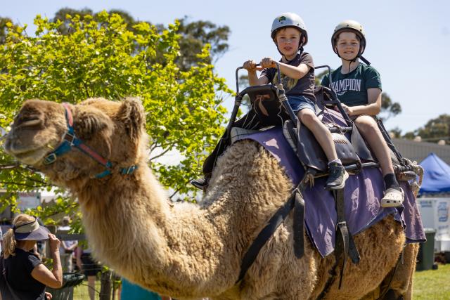 Yankalilla Show socials | The Victor Harbor Times