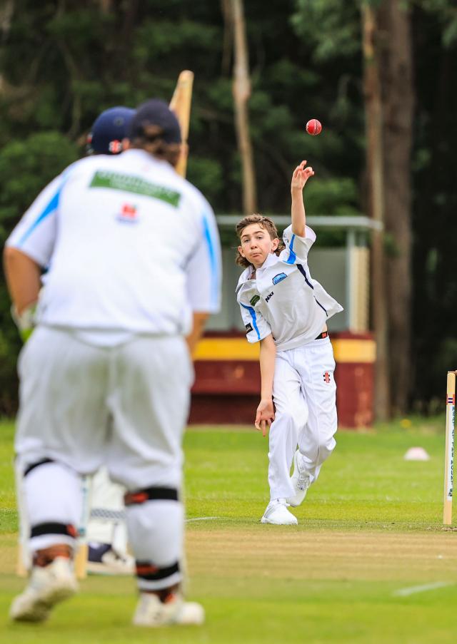 Great Southern cricket action | The Victor Harbor Times