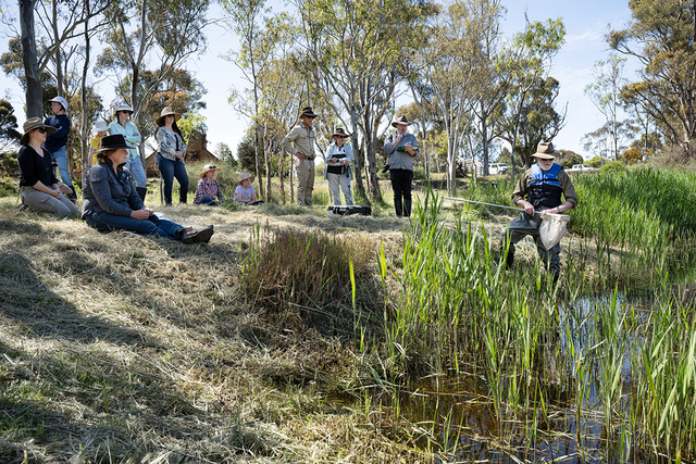 Mount Lofty water | The Victor Harbor Times