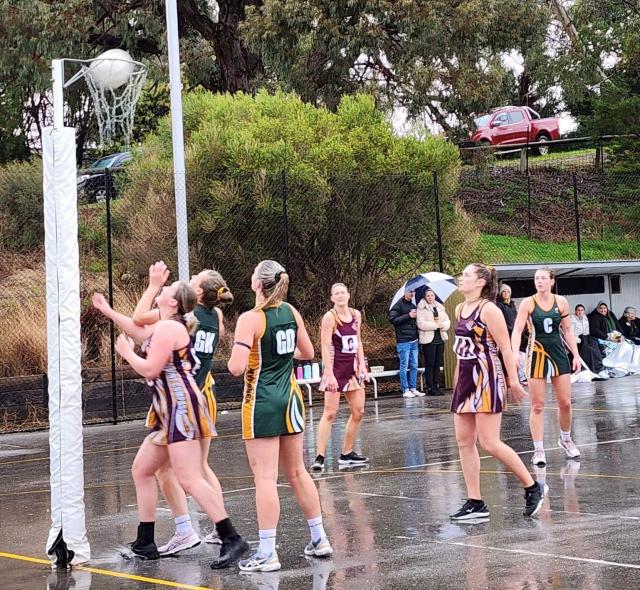 Three cheers for the umpires | The Victor Harbor Times