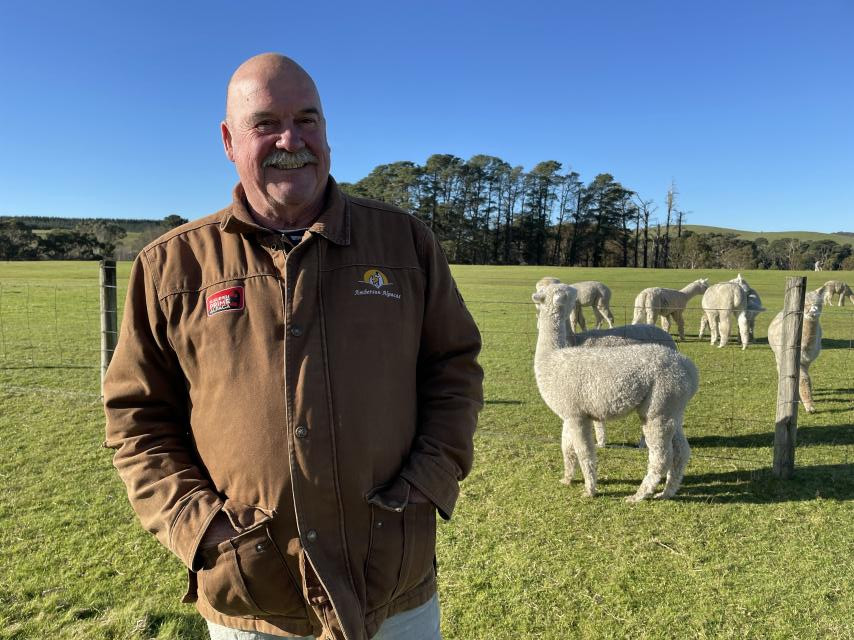 Alpaca attacks on rise | The Victor Harbor Times