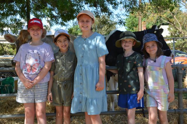 Strathalbyn Show | The Victor Harbor Times