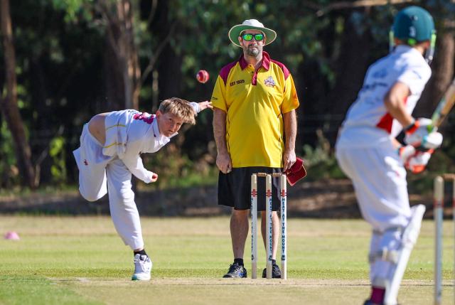 Great Southern cricket | The Victor Harbor Times