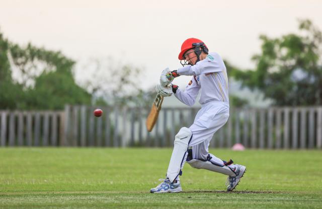 Great Southern cricket action | The Victor Harbor Times
