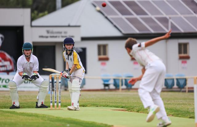 Great Southern cricket action | The Victor Harbor Times