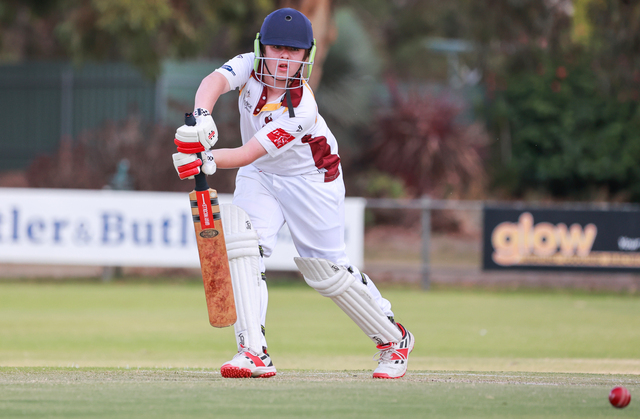 Great Southern cricket | The Victor Harbor Times