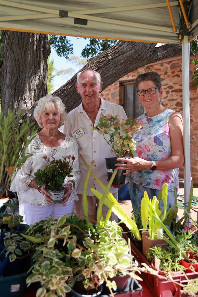 Glenbarr Garden Gala | The Victor Harbor Times